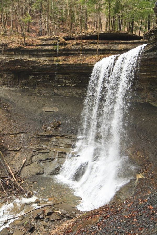 Overhang Of Wet Rocks Covered In Moss And Autumn Leaves, Waterfall ...