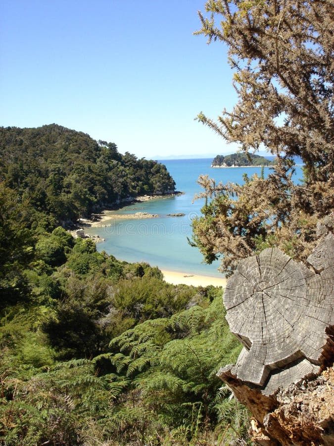 Tinline Schacht, Nationalpark Abel-Tasman Stockfoto - Bild von sand ...