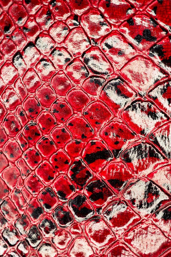 Tint Luxury Red Crocodile Skin Texture, Closeup Stock Image - Image of ...