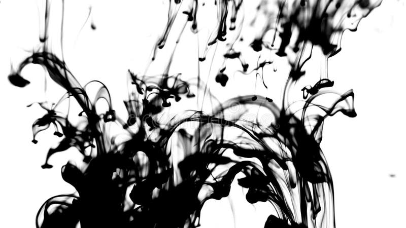 Tinta negra en agua metrajes. Vídeo de vapor, calamar - 56544562
