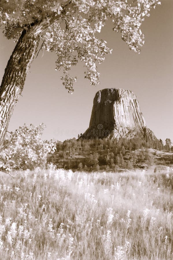 Tinted Devil`s Tower stock image. Image of sacred, vacation - 91367435