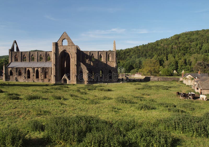Tintern Abbey Historical Ruins, Wales Stock Image - Image of tintern ...