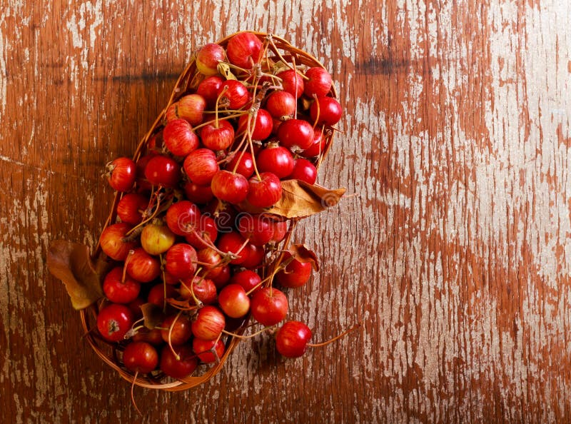 Tiny Apples, Crabapples in a Basket Stock Photo - Image of appetizer ...