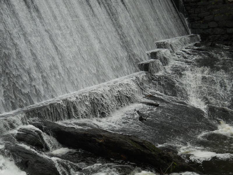 A tiny bird in a waterfall stock image. Image of release - 43180567
