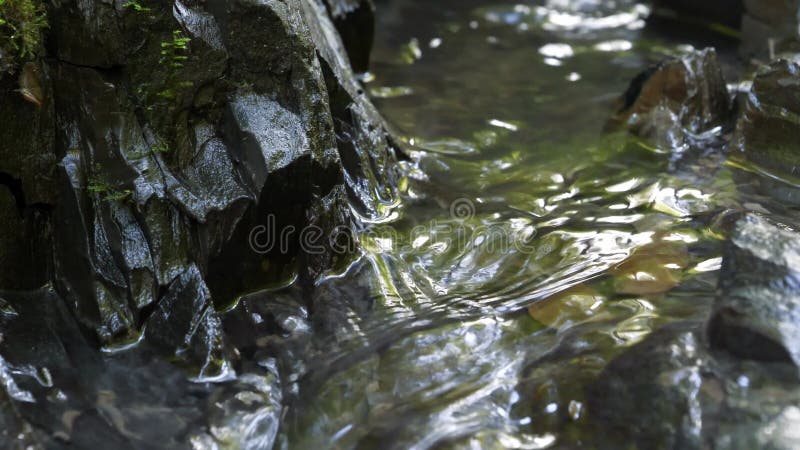 Tiny Brook Close-up, Water Flows between Stones Stock Video - Video of ...