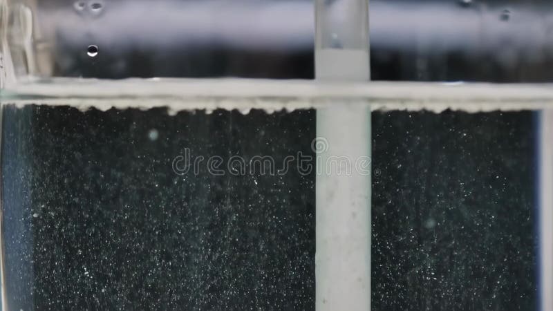 Tiny Bubbles Rising in Beaker during Laboratory Experiment Stock ...