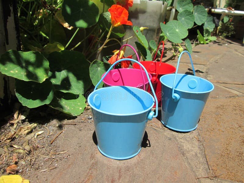 Tiny Buckets. stock photo. Image of gardening, decorative - 85391040
