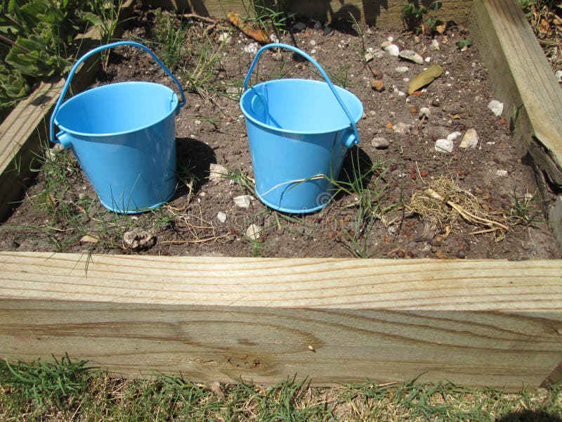 Tiny Buckets. stock photo. Image of bowl, carry, home - 85391148