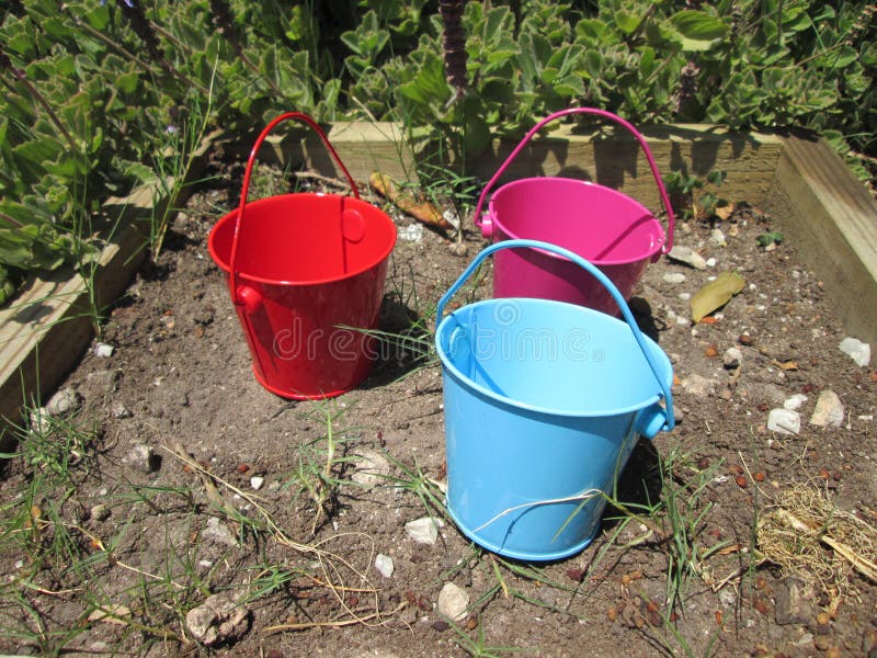 Tiny Buckets. stock image. Image of beautiful, home, couple - 85391157
