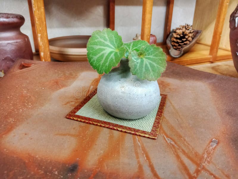 Bizen Pot Stock Photos - Free & Royalty-Free Stock Photos from Dreamstime