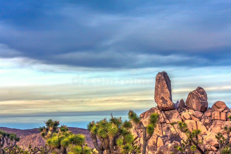 Climbers on Large Rocks in Joshua Tree Stock Photo - Image of park ...