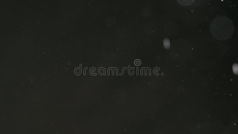 Many Blurred Dust Particles White Powder Floating in Light on Empty ...