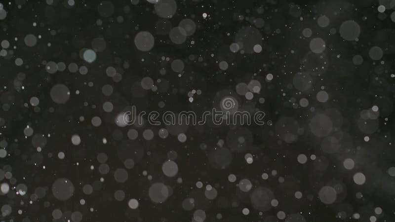 Many Blurred Dust Particles White Powder Floating Fall from Above in ...