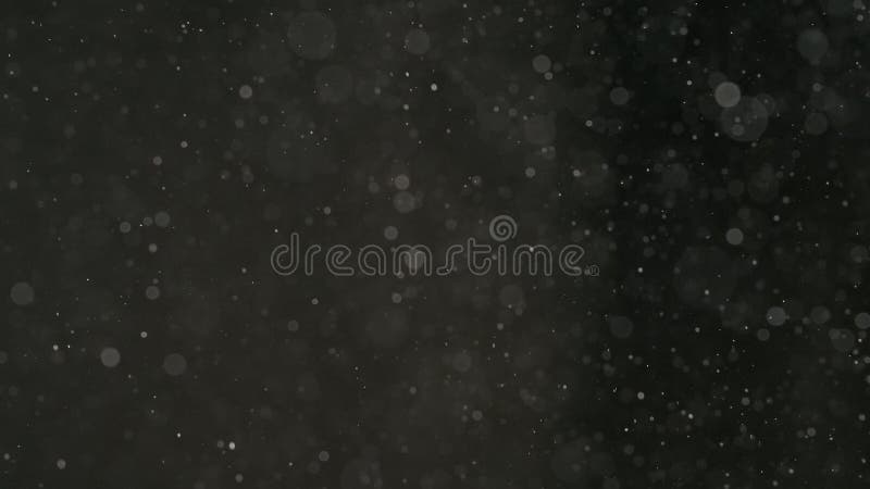 Many Dust Particles White Powder Blowing by Wind Floating in Light on ...