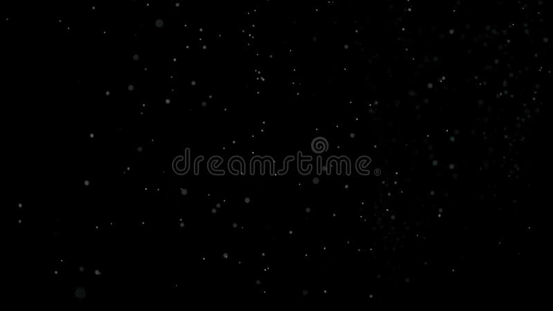 Many Dust Particles White Powder Falling, Floating on Empty Black ...