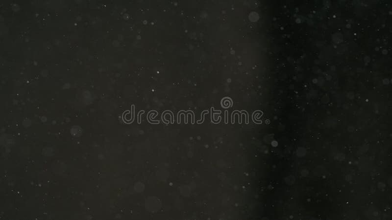 Many Dust Particles Powder and Golden Glitter Floating in Light on ...