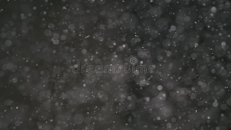 Many Dust Particles White Powder Floating in Light Blowing by the Wind ...