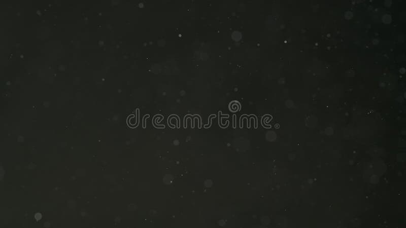 Many Dust Particles White Powder Slowly Floating in Light on Empty ...