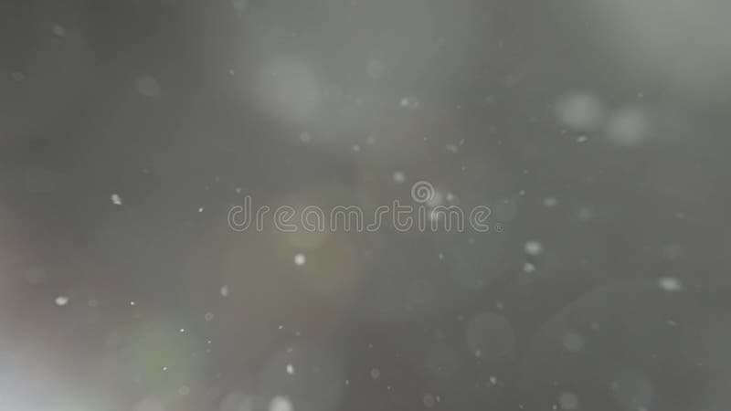 Many Dust Particles Floating Falling Down in Light on Empty Background ...
