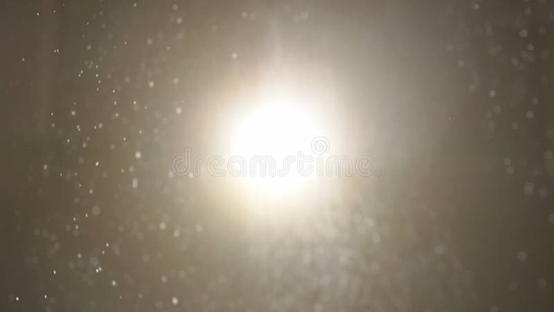 Many Dust Particles Floating Falling in Light on Empty Background with ...