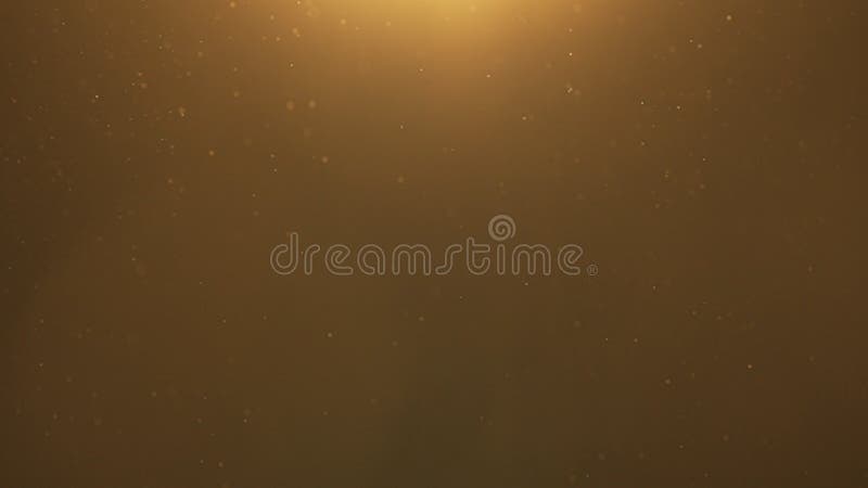 Many Dust Particles Slowly Floating in Warm Light on Empty Background ...