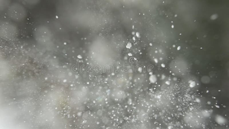 Many Dust Flour Particles Floating in Light on Empty Background with ...