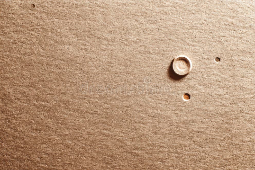 Tiny Egg Stamp Impression on Smooth Monochrome Cardboard Backdrop ...