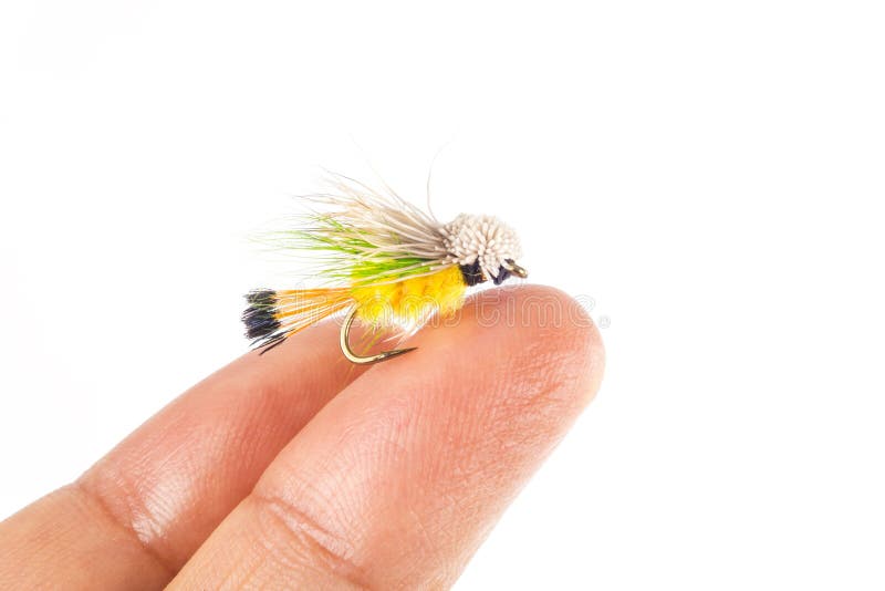 Tiny Fishing Fly on Finger Tip Stock Photo - Image of colorful, lures ...