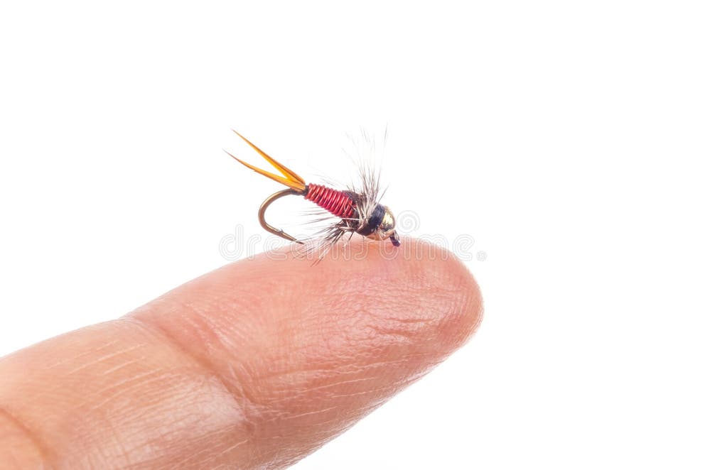 Tiny Fishing Fly on Finger Tip 1 Stock Photo - Image of finger, tiny ...