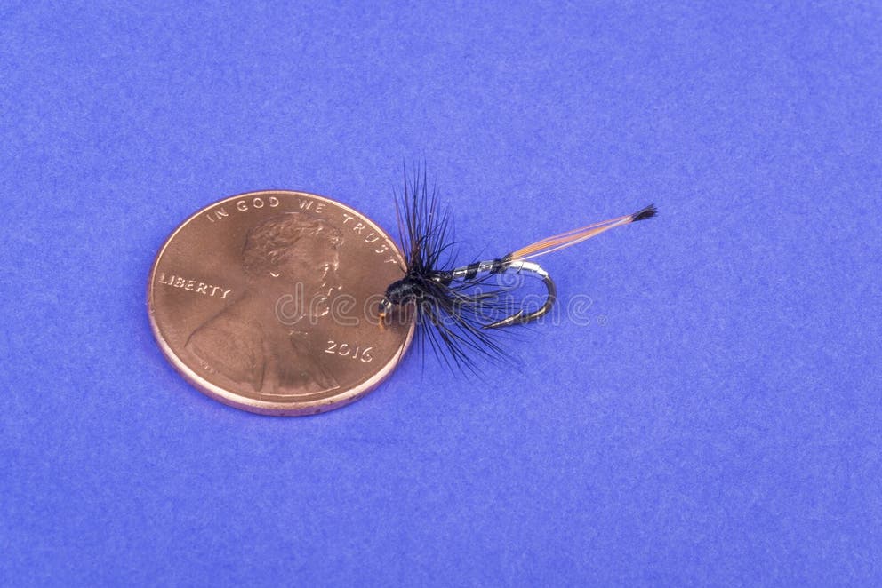 Tiny Fishing Fly on a Penny Stock Photo - Image of recreation, leisure ...