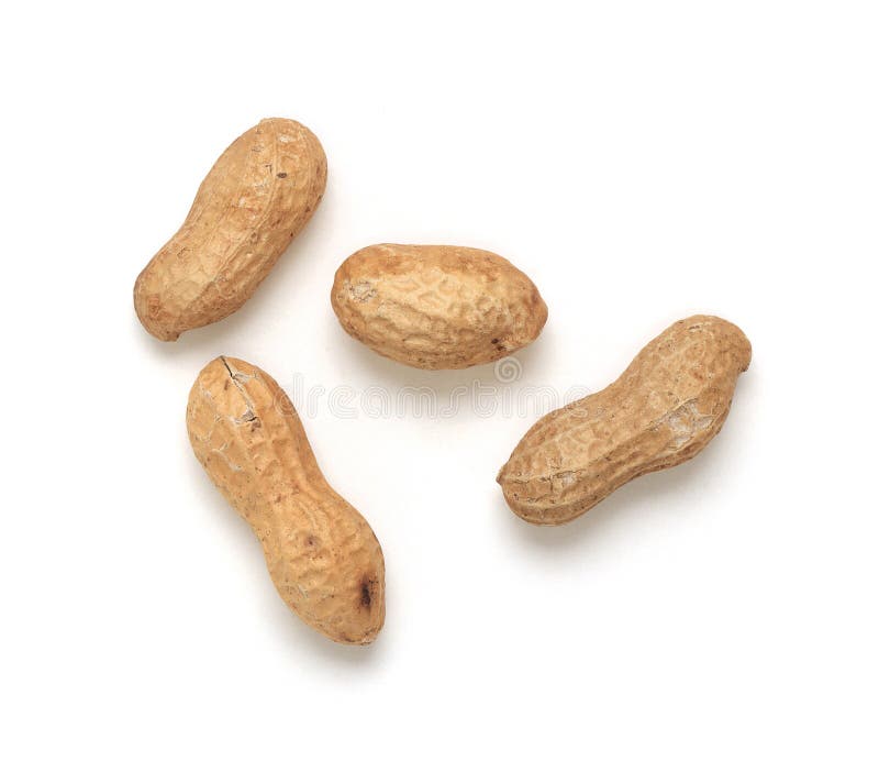 Tiny Group of Blemished Peanuts Stock Photo - Image of peanut, closeup ...