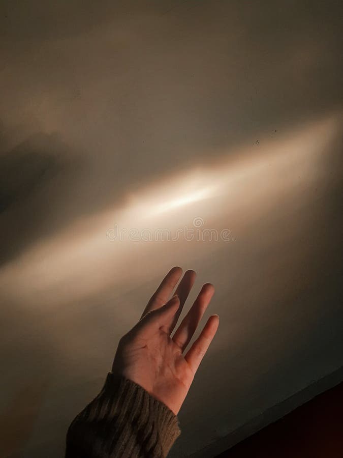 A tiny hand stock photo. Image of floor, white, organ - 212818072