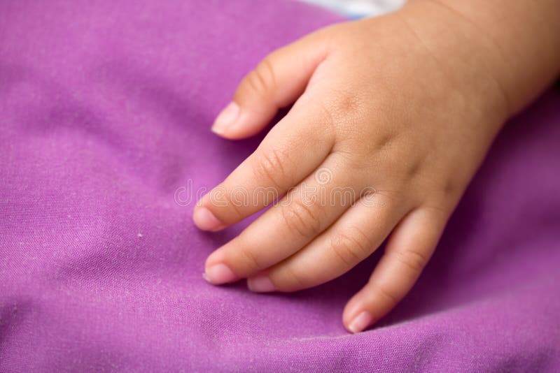 Tiny Hand Picture. Image: 3330765