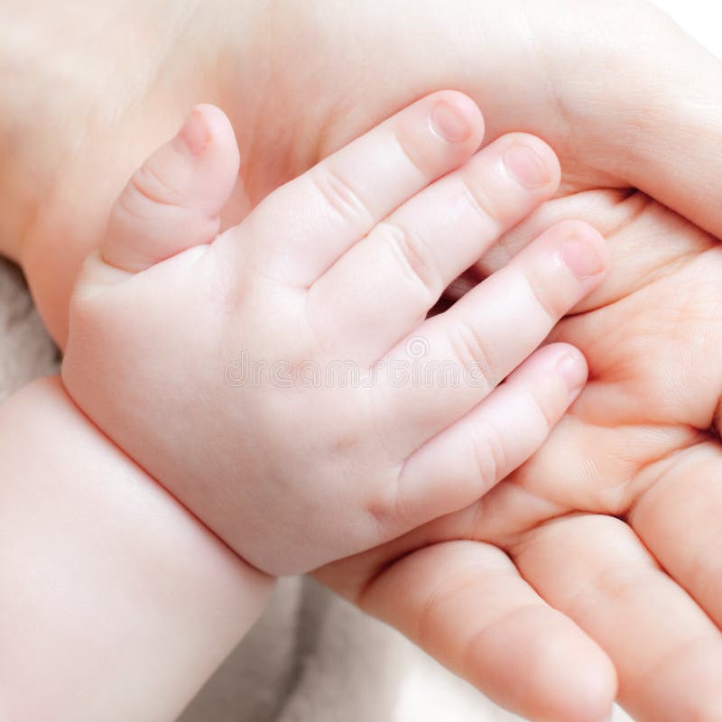 Tiny hand stock image. Image of palm, gentle, daughter - 8125759