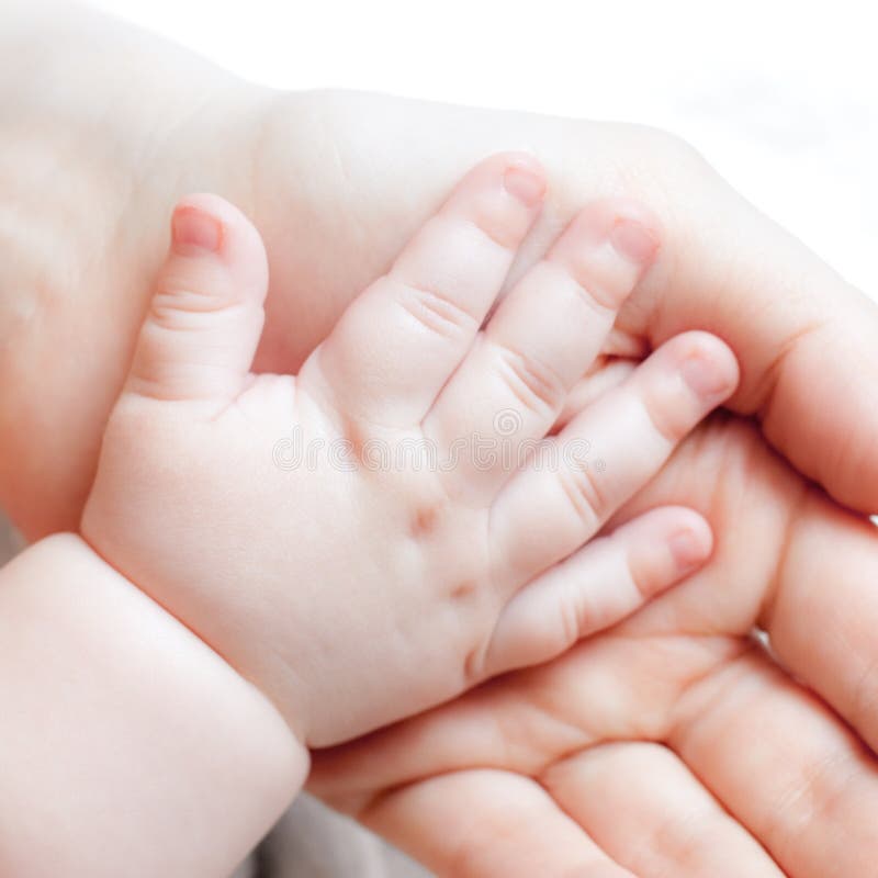 Tiny hand stock image. Image of palm, gentle, daughter - 8125759