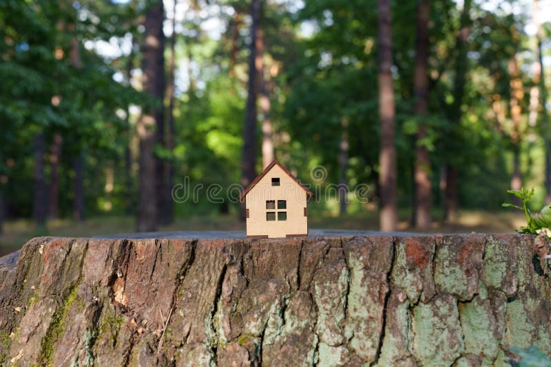 Tiny House Model on a Large Tree Stump Outdoors Stock Image - Image of ...