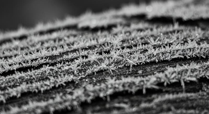 Tiny Ice Crystals Form on a Textured Surface, Creating a Delicate ...
