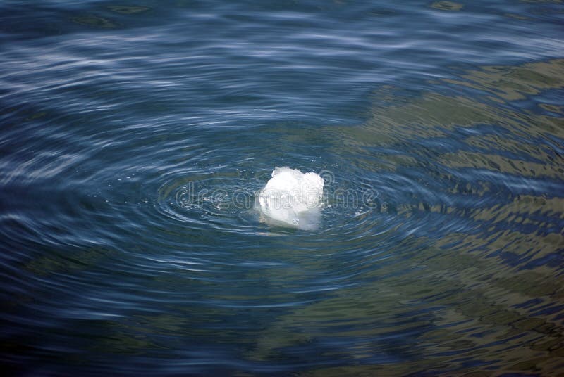 Tiny iceberg in Antarctica stock image. Image of polar - 104550097