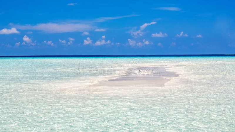 Tiny island ocean beach stock image. Image of tropical - 116545405