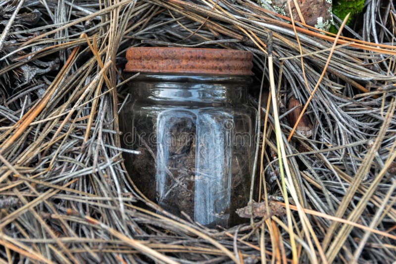 Tiny Jar Hiding in Pine Needles 1 Stock Image - Image of brown, barrel ...