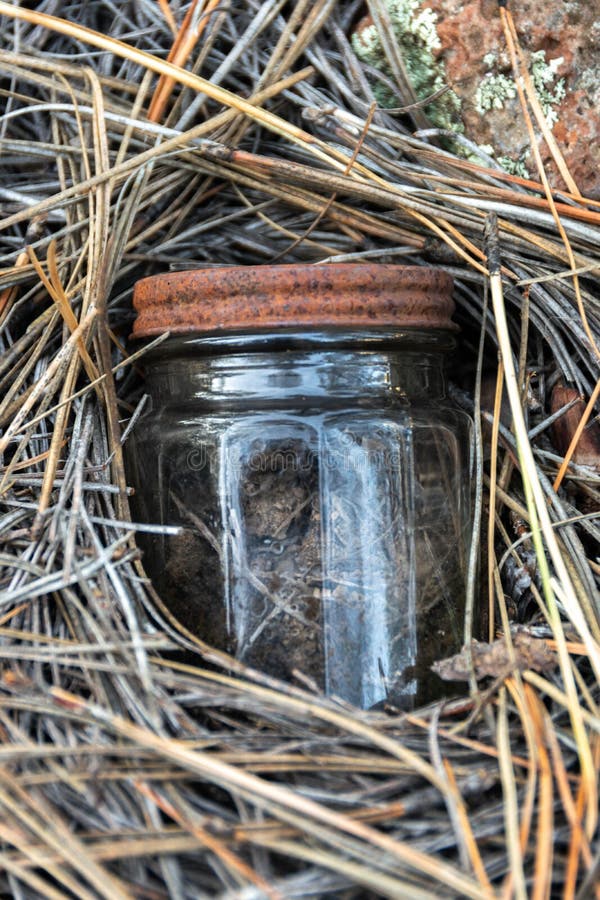 Tiny Jar Hiding in Pine Needles 1 Stock Photo - Image of barrel, hiding ...