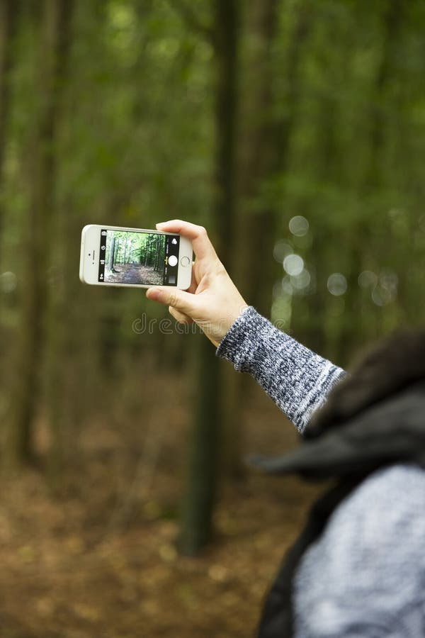 Tiny Mushroms Lumped Together in Small Clusters Stock Photo - Image of ...