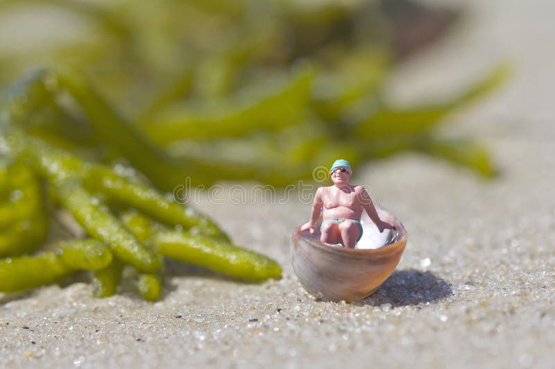 Tiny Man in Boat Shell Dreaming of Vacation Stock Photo - Image of ...