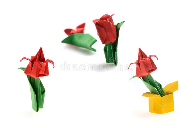 Origami tulip stock photo. Image of paper, star, green - 21159718
