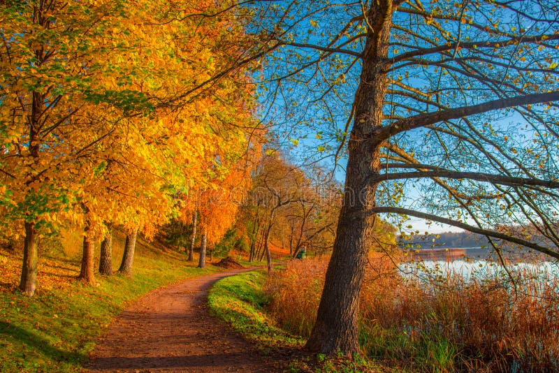 Fall path by lake stock photo. Image of landscape, colorful - 26914122