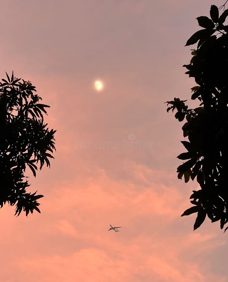 Tiny Plane and Small Bright Sun in Pink Cloudy Sunset Sky with ...