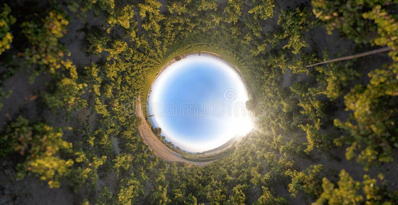 Tiny Planet Vineyard at Sunset. Avdimou, Limassol District, Cyprus ...