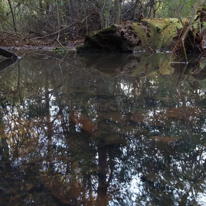 Tiny Puddle Makes a Big Lake Stock Photo - Image of puddle, tiny: 168273668