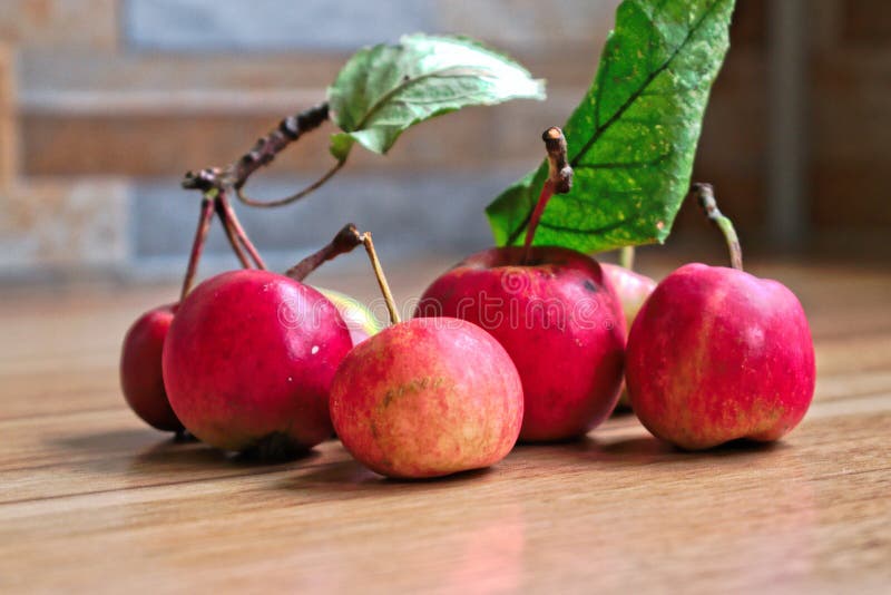 Tiny Red Apples stock photo. Image of wooden, leaves - 82136274