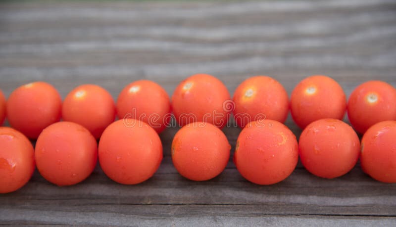 Tiny, Red Cherry Tomatoes Fresh from the Garden. Stock Image - Image of ...